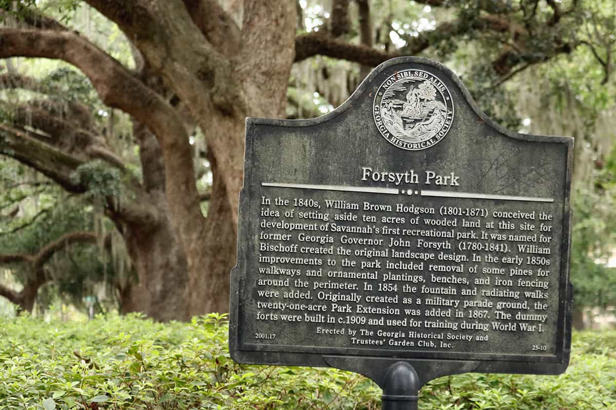 21 Photos That Will Make You Want to Stroll Through Forsyth Park ...