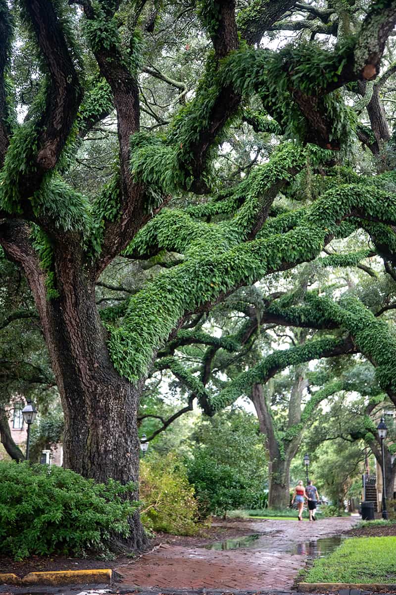 Indoor Activities to Escape the Rain in Savannah - Savannah First-Timer ...