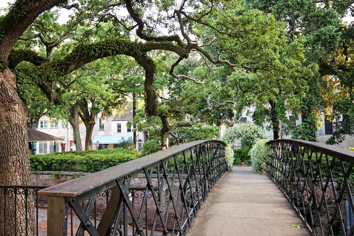 Savannah First-Timer's Guide - Savannah First-Timer's Guide